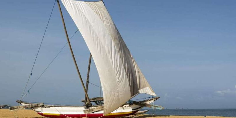 Catamaran Sunset Sailing in Trincomalee - Who Would Love This Tour?