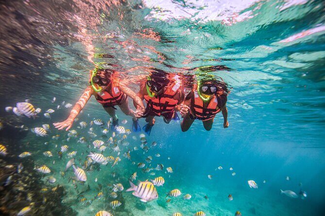 CATAMARAN to Isla Mujeres, Snorkel & Beach Club by Xcaret - The Itinerary in Detail