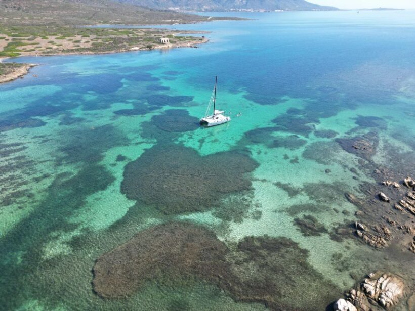 Catamaran tour Asinara island national park Buriana Charter - Introduction: A Unique Day in Sardinia’s Asinara National Park