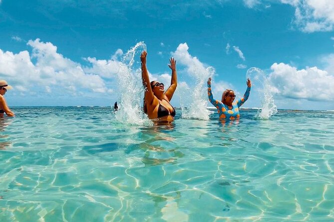 Catamaran Tour to the Seixas Natural Pools - Highlights From Positive Customer Experiences