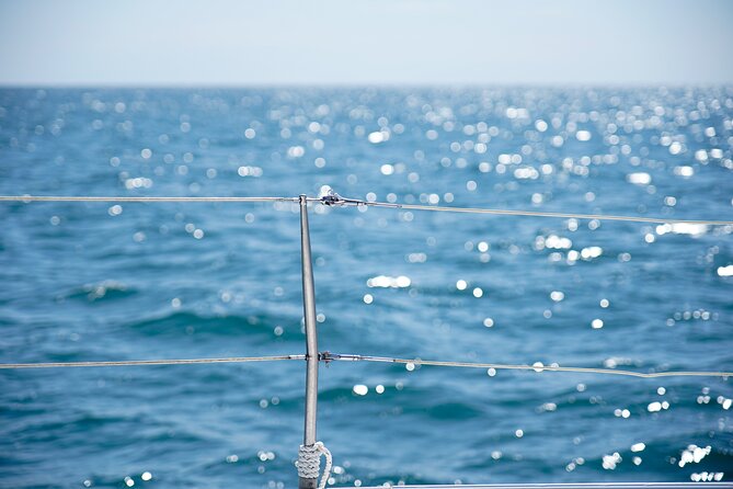 Catamaran tour with swimming stop in Malaga - Final Thoughts: Is It Worth It?