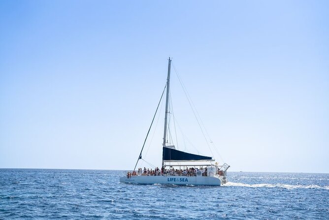 Catamaran With BBQ in the Bay of Palma - Positive Experiences and Feedback