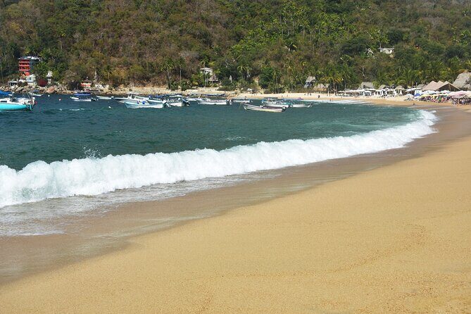 Catamaran Yelapa Beach Tour with Snorkeling, Food and Open Bar - Final Thoughts