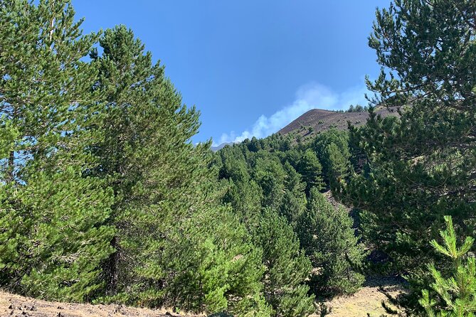 Catania: Etna & Food Jeep Tour - What to Expect on the Etna Jeep Tour