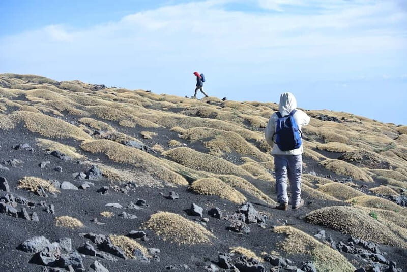 Catania: Etna Full-Day Trekking with Hotel Pickup - Key Points