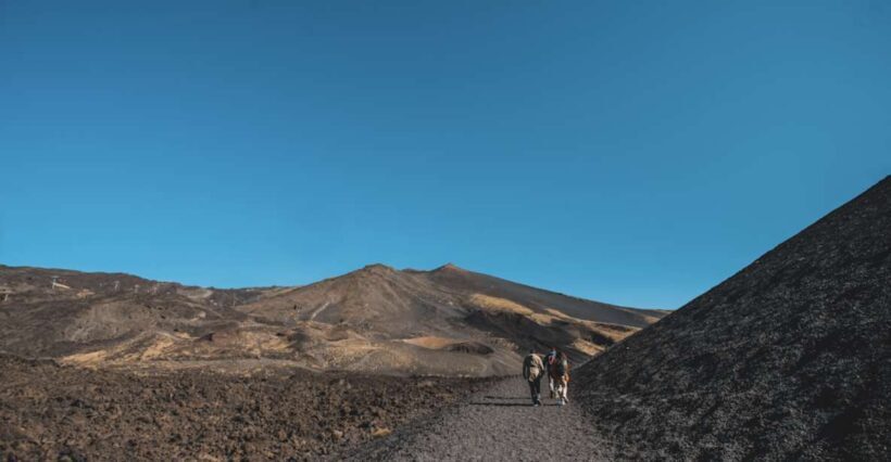 Catania: Etna Morning Excursion with Tasting and Pickup - FAQ