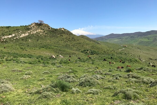 Catania: Etna Morning Jeep Tour - Exploring the Lunar Landscapes of Mount Etna