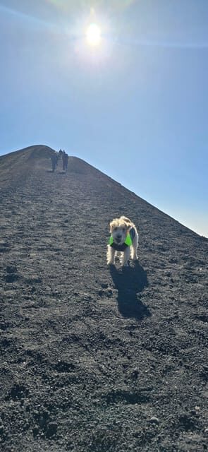 Catania: Etna Tour in the Morning - Value for Money