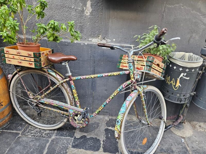 CATANIA MARKET & STREET FOOD departure from Taormina - Who Will Love This Tour?