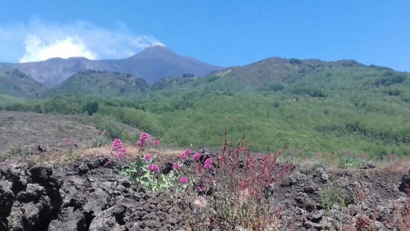 Catania: Mount Etna Sunset Tour and Etna Doc Wine - An In-Depth Look at the Mount Etna Sunset Tour