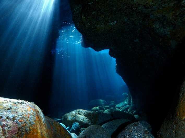 Catania: Scuba Diving Experience - What to Expect from Your Catania Scuba Adventure