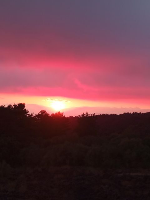 Catania: Sunset Trekking on Mount Etna with Wine Tasting - Final Thoughts