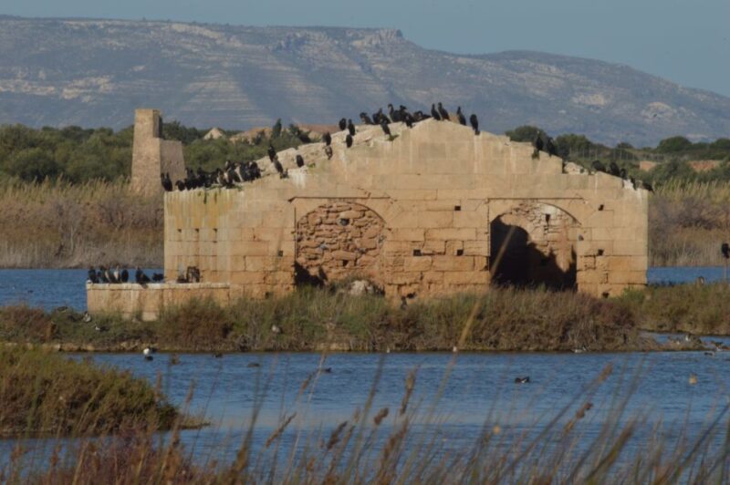 Catania: Vendicari, Marzamemi and Noto Day Trip - Marzamemi: Charming Fishing Village