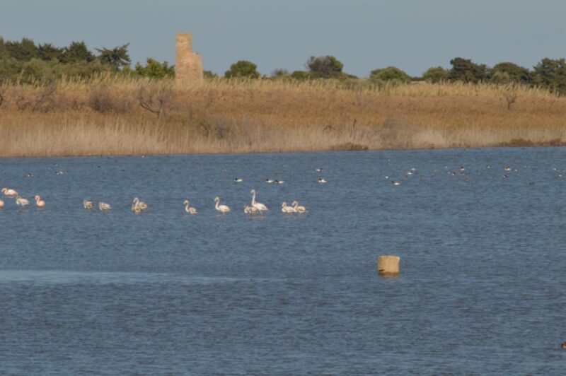 Catania: Vendicari, Marzamemi and Noto Day Trip - Noto: Sicilian Baroque Architecture