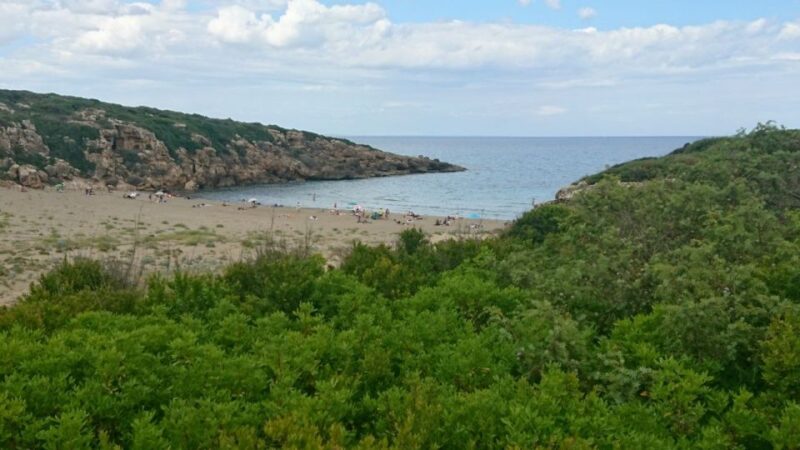 Catania: Vendicari, Marzamemi and Noto Day Trip - Transportation and Guide