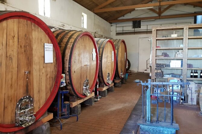 Catania: Wine Tour - Who Will Love This Tour?