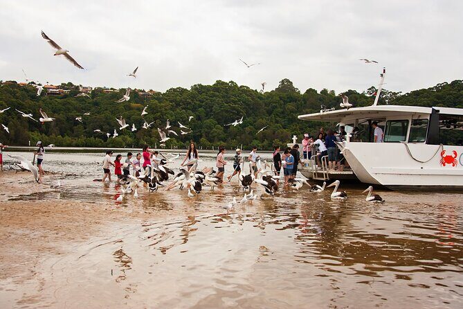 Catch a Crab Tour with Optional Seafood Lunch - A Closer Look at the Itinerary