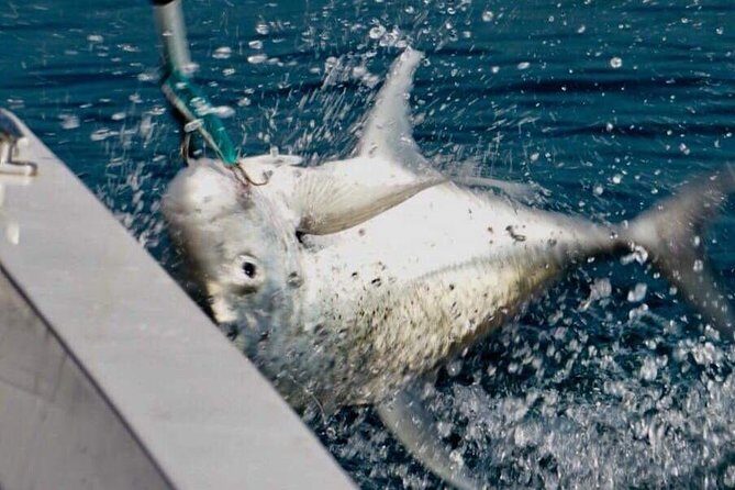 Catch the fish of a lifetime in adventurous waters  Negombo - The Itinerary in Detail
