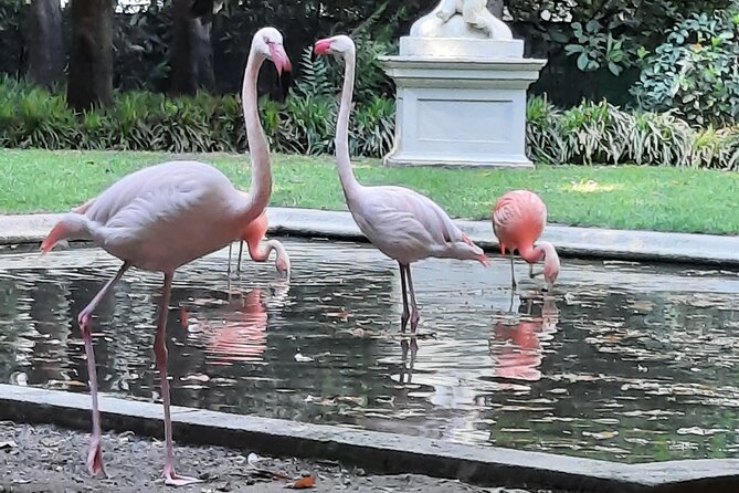 Catch the Unicorn: Self-Guided Fantasy Puzzle Quest in Milan - Key Points