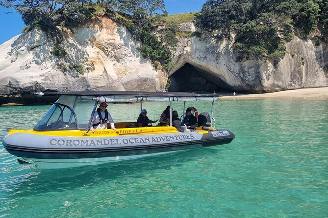 Cathedral Cove 2 Hour Guided Tour Explore Marine Wonders - Exploring the Coromandel’s Marine Treasures: A Detailed Look at the Cathedral Cove Guided Tour
