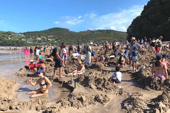 Cathedral Cove and Hot Water Beach Private Tour - The Itinerary in Detail