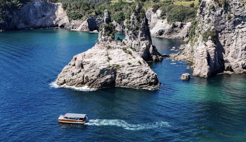 Cathedral Cove Coast and Cave Tour - An In-Depth Look at the Cathedral Cove Coast and Cave Tour