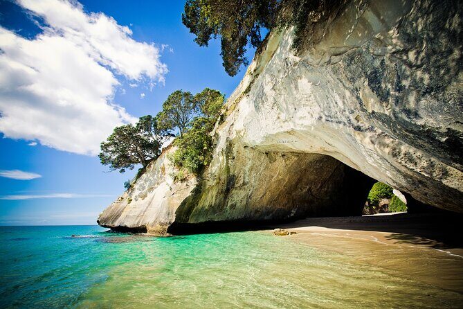 Cathedral Cove & Coromandel Peninsula Small-Group Day Tours - What Makes This Tour Stand Out?