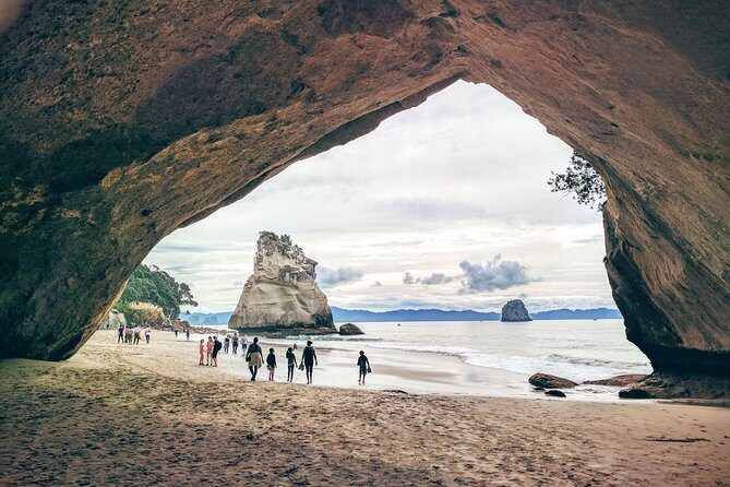 Cathedral Cove Day Trip from Auckland - An In-Depth Look at the Cathedral Cove Day Trip