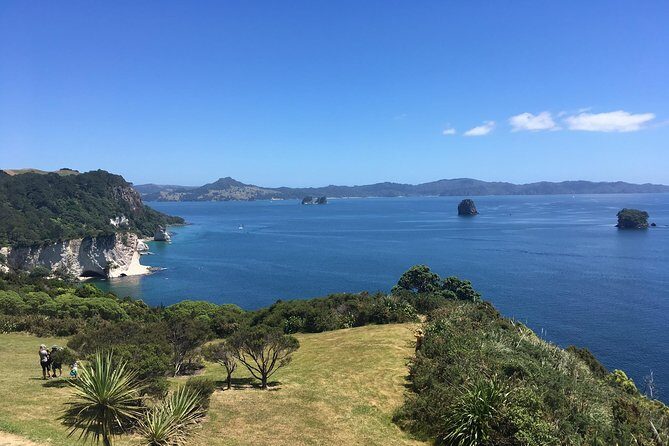 Cathedral Cove Day Trip from Auckland - Final Thoughts: Who Should Book This Tour?