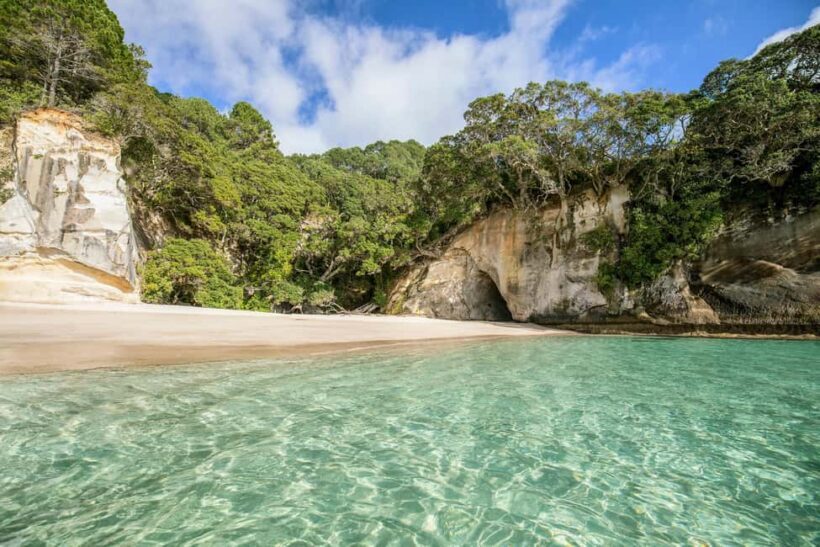 CATHEDRAL COVE & HOT WATER BEACH Day Tour from Auckland - A Practical Look at the Tour Experience