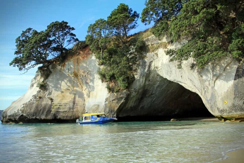 CATHEDRAL COVE & HOT WATER BEACH Day Tour from Auckland - Practical Considerations and Tips