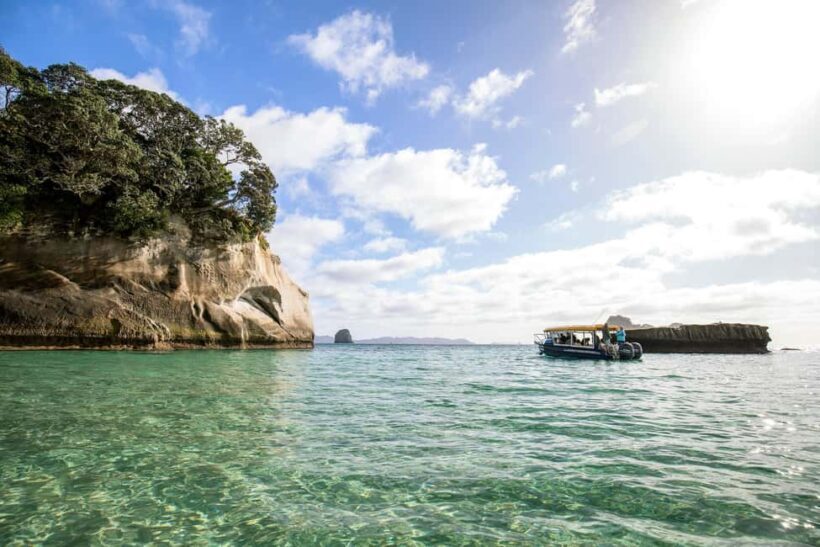 CATHEDRAL COVE & HOT WATER BEACH Day Tour from Auckland - Final Thoughts: Who Will Love This Tour?