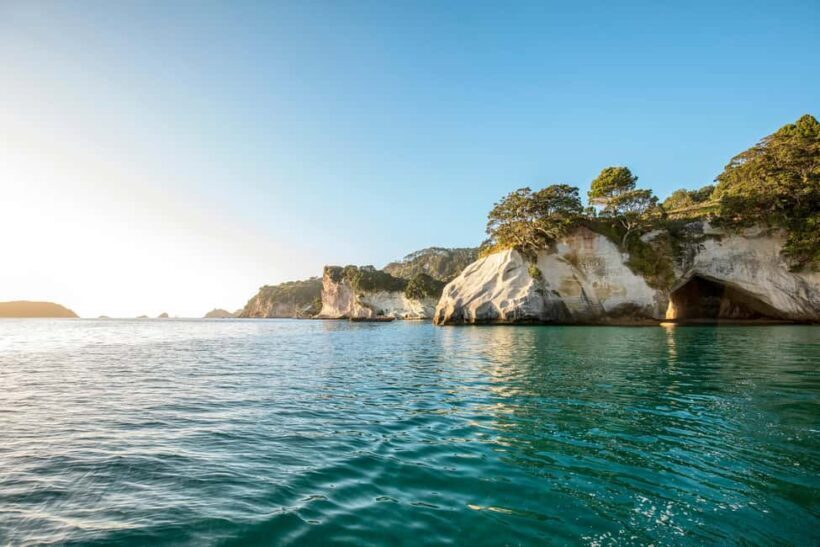CATHEDRAL COVE & HOT WATER BEACH Day Tour from Auckland - Final Words