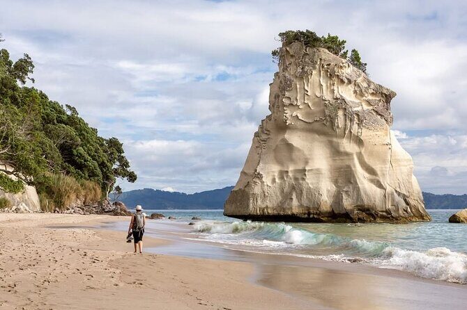 Cathedral Cove & Hot water beach -Full Day Tour: PRIVATE TOUR - Exploring Cathedral Cove: Nature’s Masterpiece