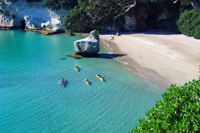 Cathedral Cove Kayak Tour - Who Should Book This Tour?