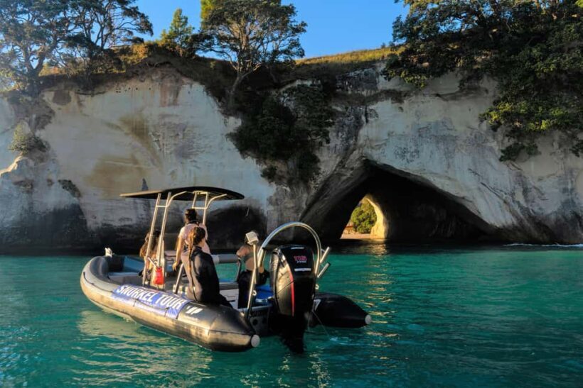 Cathedral Cove Marine Reserve: Snorkeling Boat Trip - Key Points