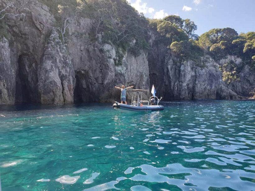 Cathedral Cove Marine Reserve: Snorkeling Boat Trip - Who Should Book This Tour?
