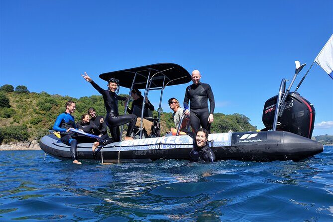 Cathedral Cove Marine Reserve - Specialised Boat Snorkeling - Key Points
