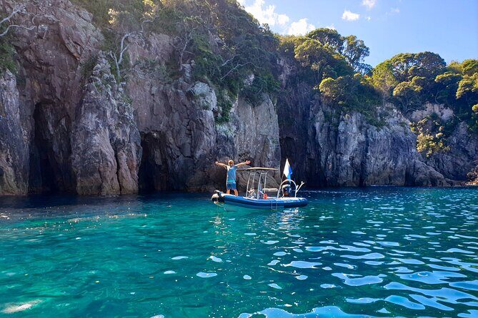 Cathedral Cove Marine Reserve - Specialised Boat Snorkeling - Practical Details: What You Need to Know