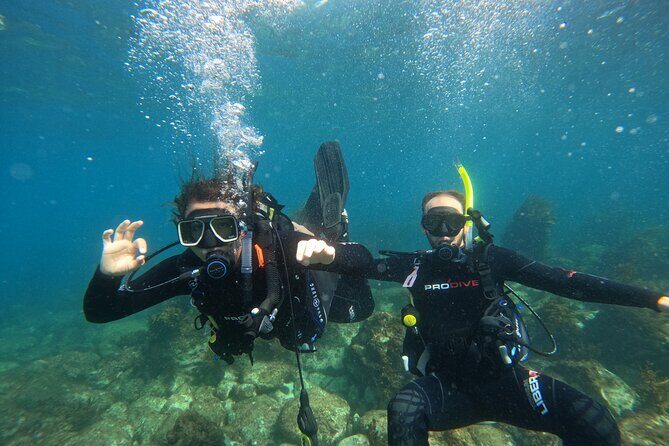 Cathedral Cove Marine Reserve - Specialised Boat Snorkeling - The Sum Up: Who Will Love This Snorkeling Tour?