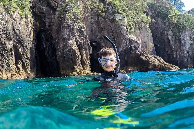 Cathedral Cove Marine Reserve - Specialised Boat Snorkeling - FAQ