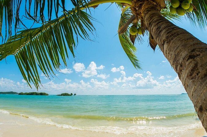 Catlina Island | Free Diving and Transportation - Who Will Love This Tour?