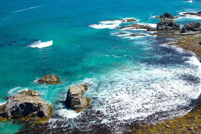 Catlins Cruiser Private Tour from Dunedin Cruise Port - The Sum Up