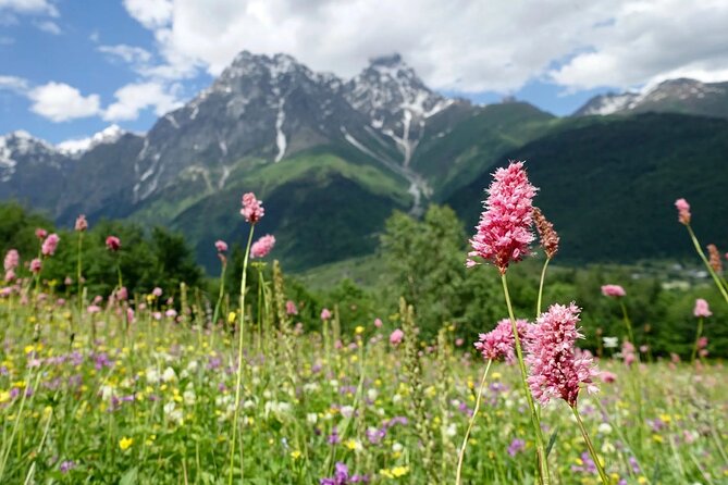 Causacus mountains at Majestic SVANETI and MESTIA from Kutaisi - The Sum Up: Who Should Consider This Tour?