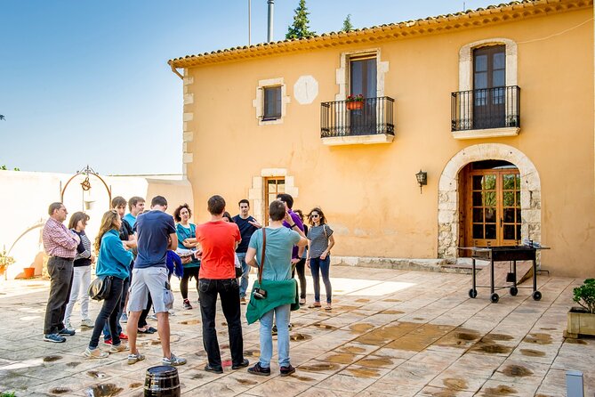 Cava Making Experience at the Local Winery in Barcelona - Why This Tour Is a Great Choice