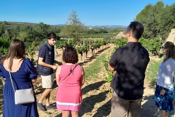 Cava Tour to 3 Family Wineries With Hotel Pick-Up - Scenic Visits to Traditional Wine Cellars