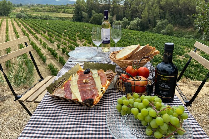 Cava Tour to 3 Family Wineries With Hotel Pick-Up - Reviews and Highlights From Fellow Travelers