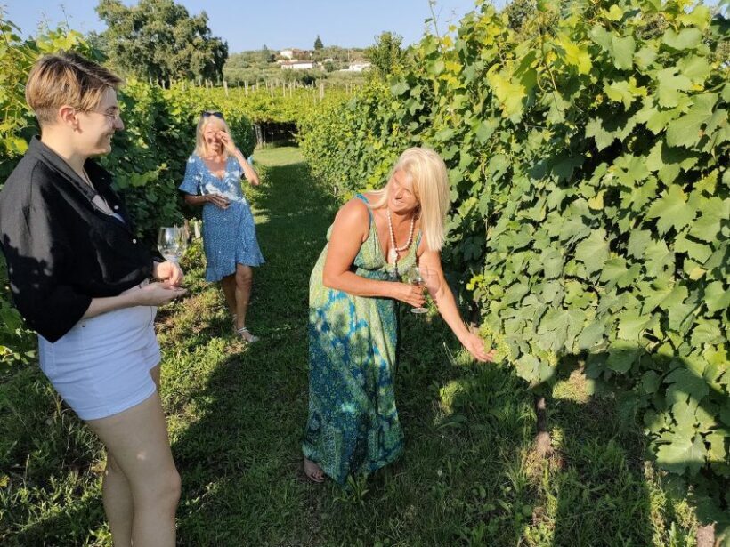 Cavaion: Lake Garda Wine & Food Tasting with Vineyard Tour - Cavaion: Lake Garda Wine & Food Tasting with Vineyard Tour — An Authentic Taste of Italy