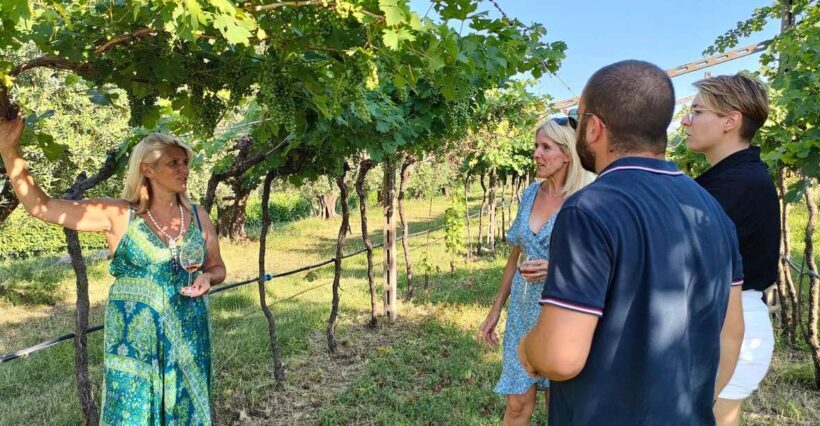 Cavaion: Lake Garda Wine & Food Tasting with Vineyard Tour - Authentic, Informative, and Friendly