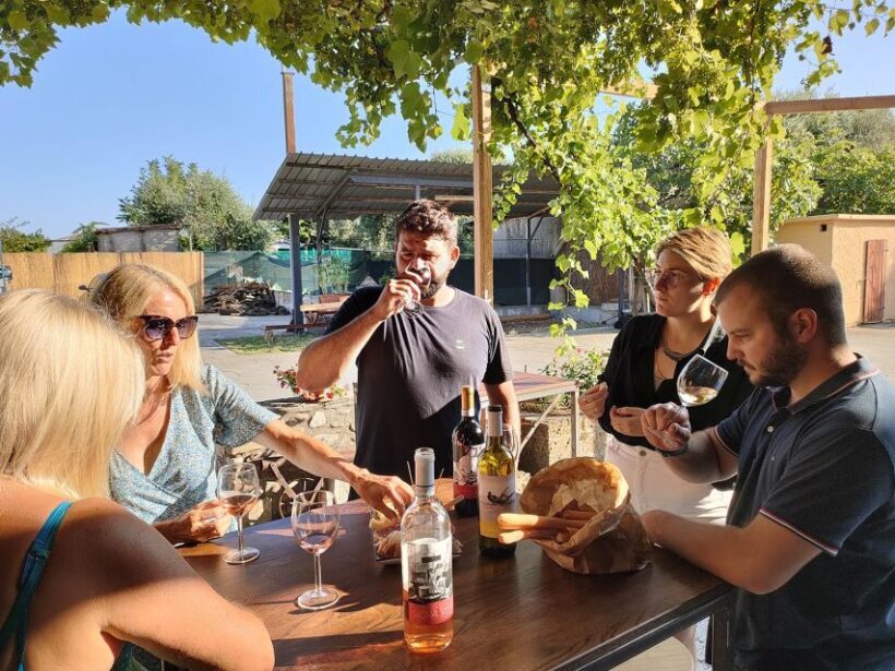 Cavaion: Lake Garda Wine & Food Tasting with Vineyard Tour - Who Will Love This Tour?